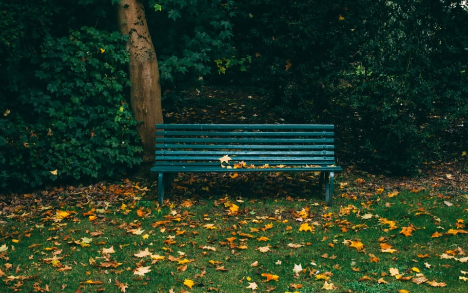 A Guide to Atlanta, Georgia, Parks