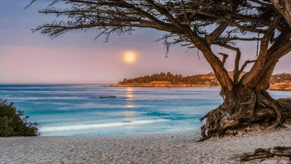 California Summer Escapes | Blog