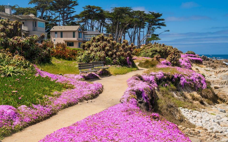 Pacific Grove | Neighborhood Guide
