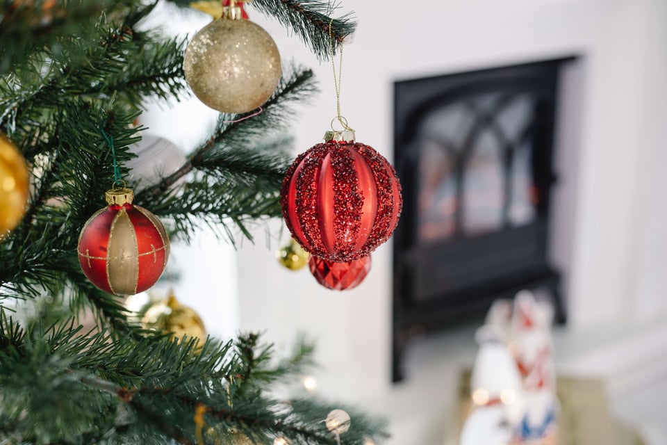 Finding the Perfect Christmas Tree on Martha's Vineyard