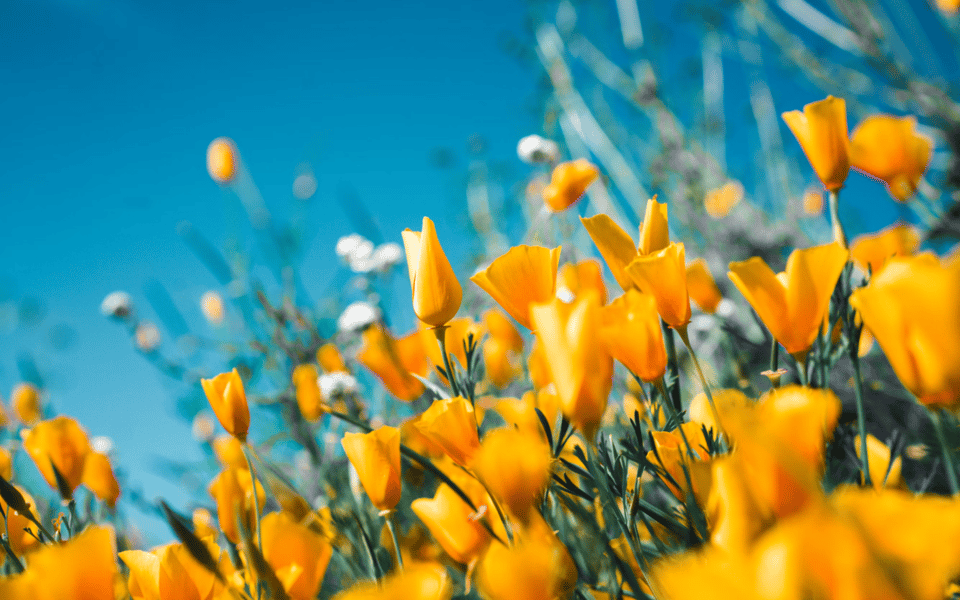 When Is The Best Time To Sell A House? | Anna Rea