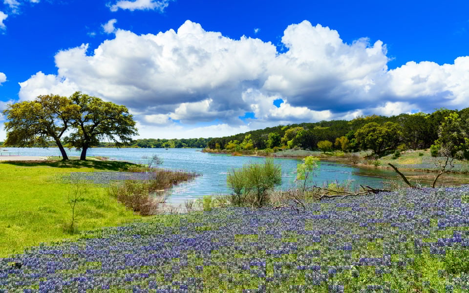 Hill Country | Neighborhood Guide | The Horn Company