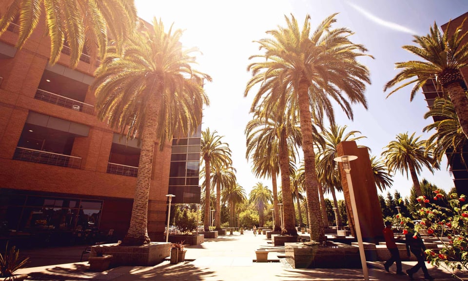 Google Village | Area Guide | Real Estate Experts