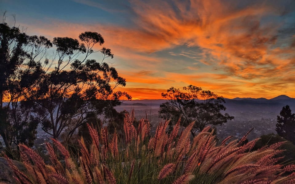 Mount Helix | Community Guide | The Savory Group | The Savory Group