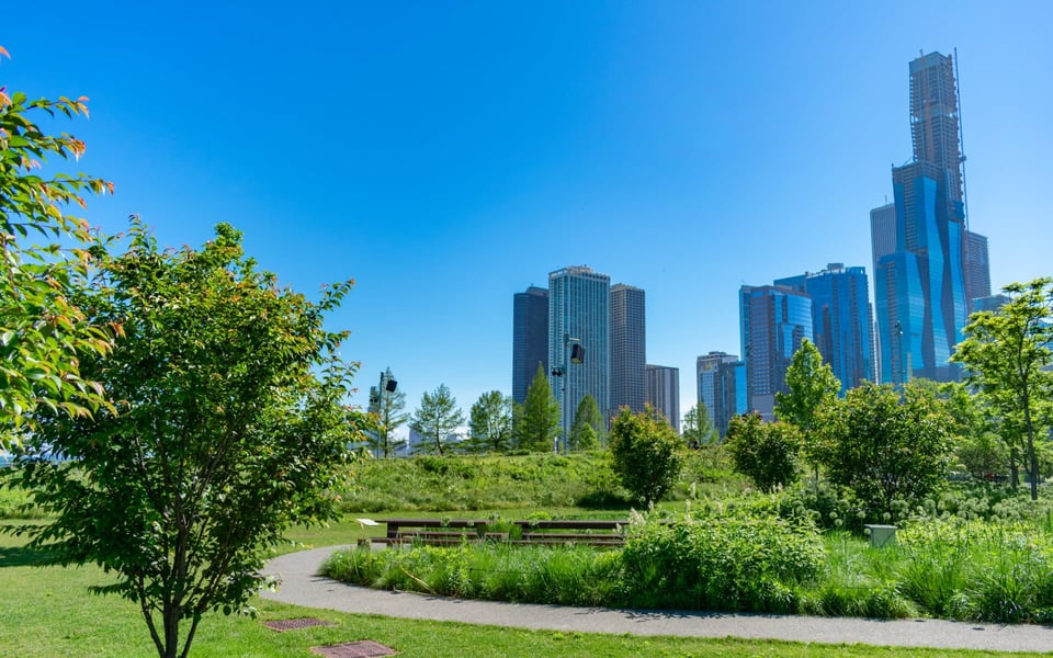 Streeterville Community Guide | Jodi Dougherty | Chicago Real Estate ...