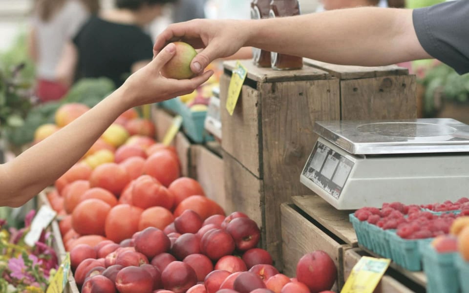 Discover the Best Places to Shop in Encinitas, CA – Explore Now!