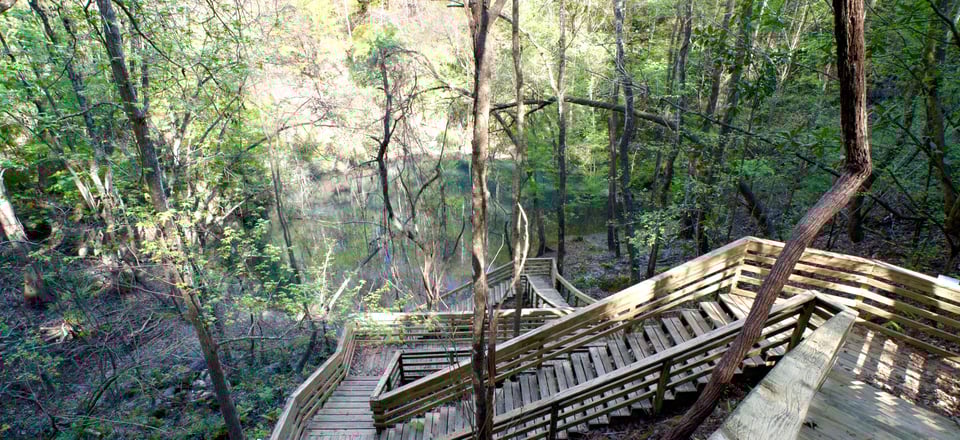 Millhopper | Neighborhood Guide