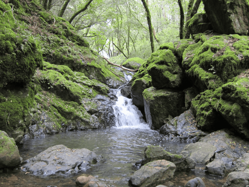 Marin County Real Estate Report - Feb 2024