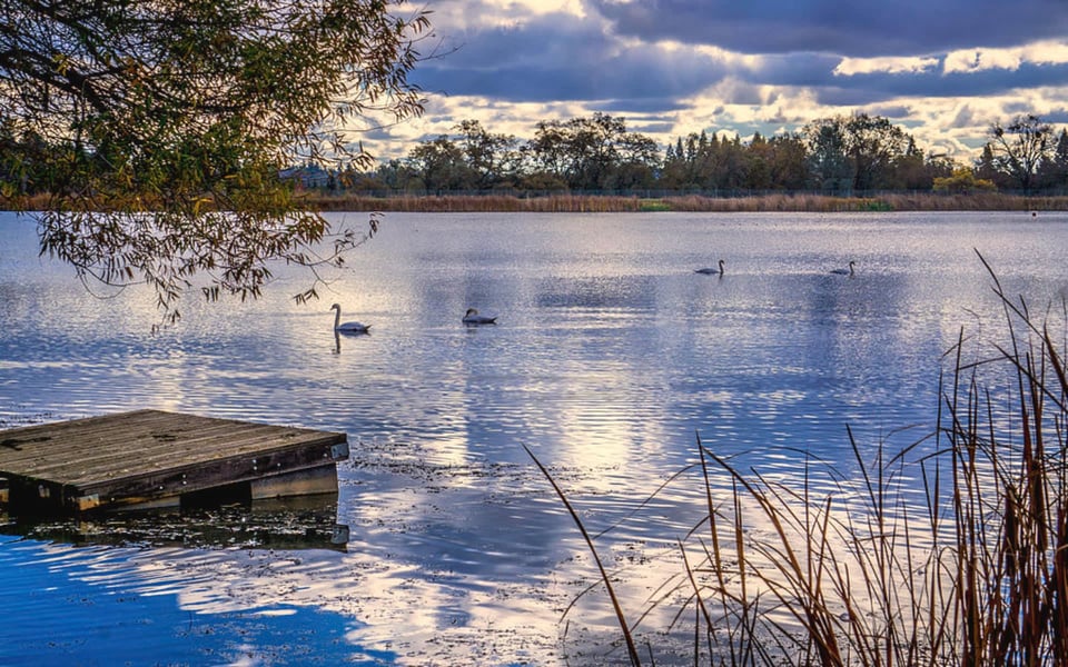 Cameron Park Real Estate | Community Guide | Robbie Varella