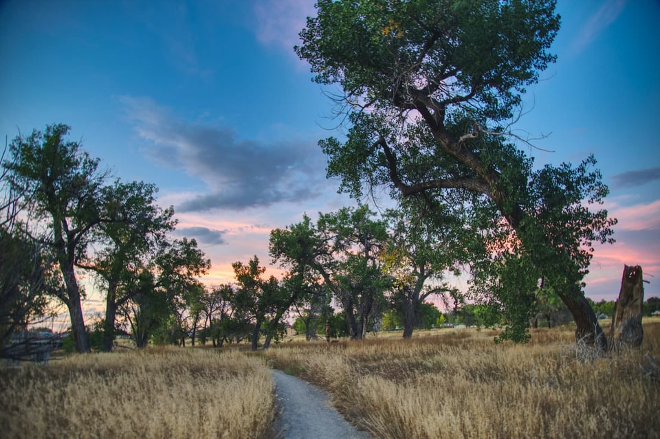 Aurora Neighborhood Guide | Jennifer Stuckey Realtor