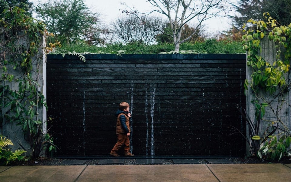 Living in Bellevue: A Guide to the Pacific Northwest | Blog | Mary Pong