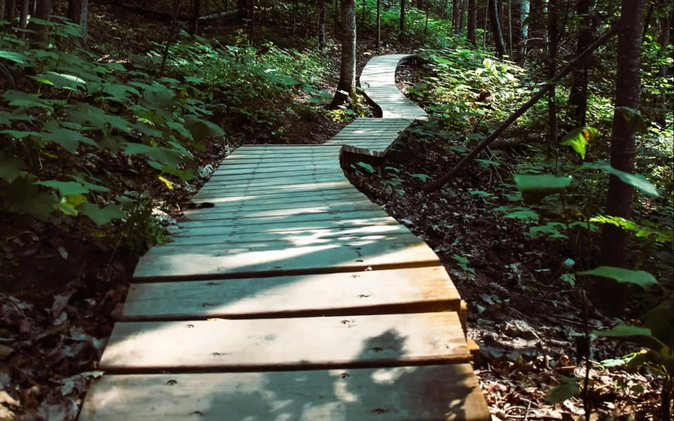 Hiking in Frisco TX | Blog | The Luxe Global Group