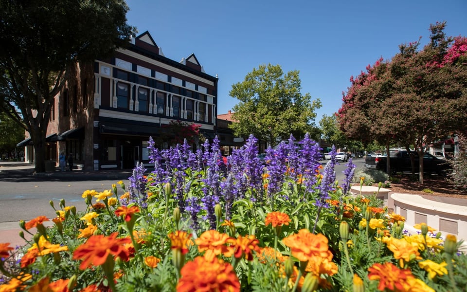 Vacaville | Neighborhood Guide