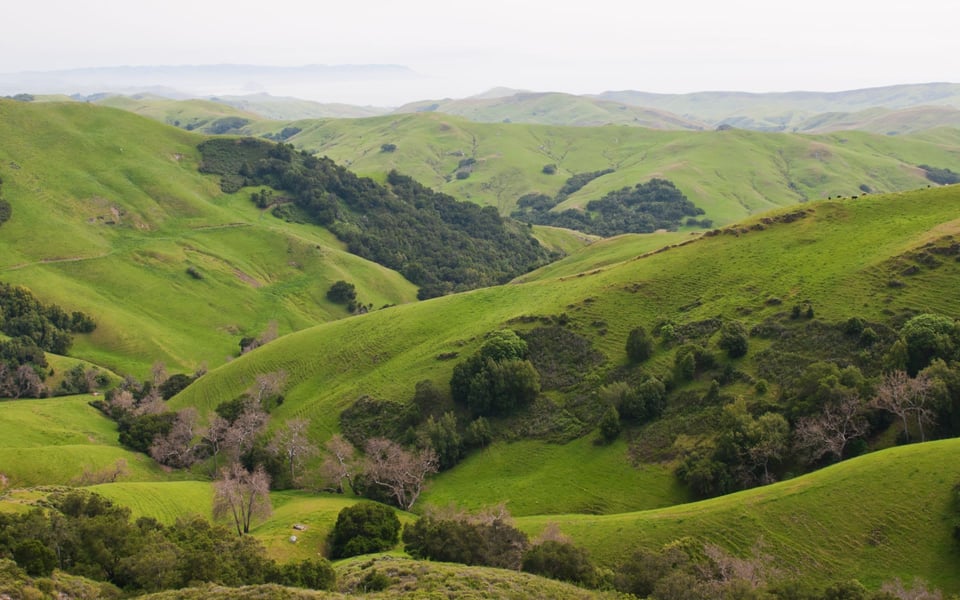 Paso Robles AVA Spotlight: Creston | Blog Insider Insights