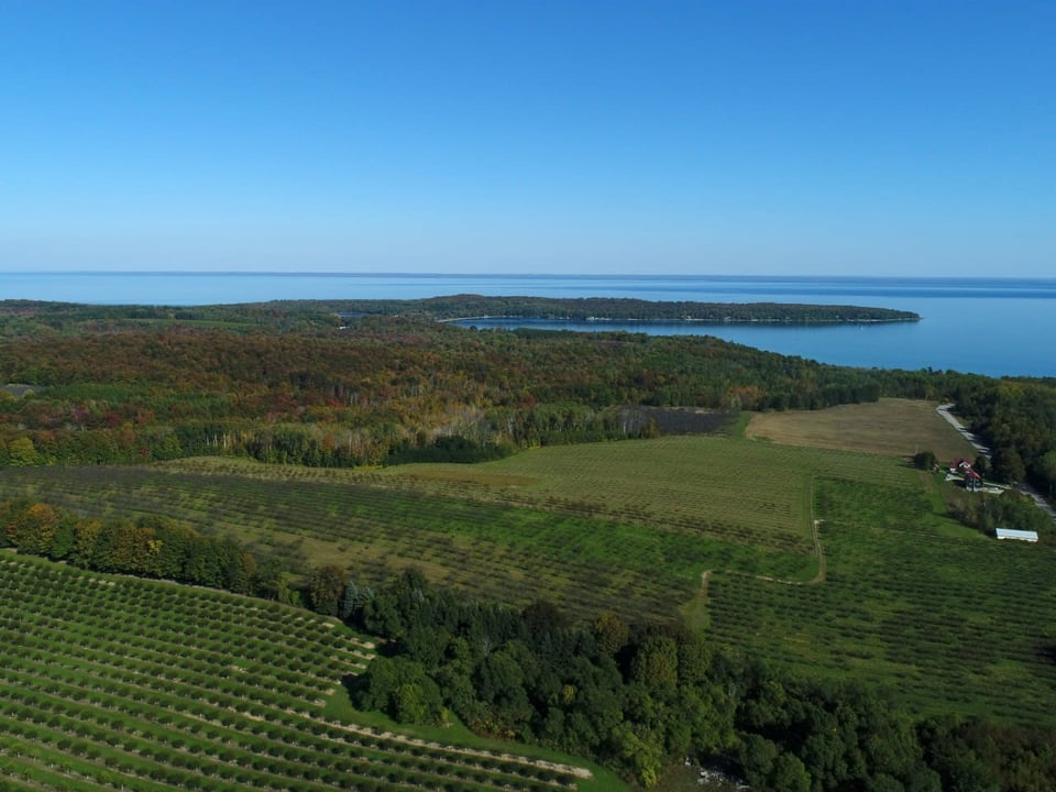 Omena | Area Guide