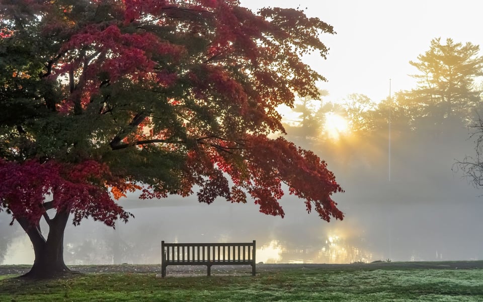 Greenwich Real Estate | Area Guide | Kate Cacciatore