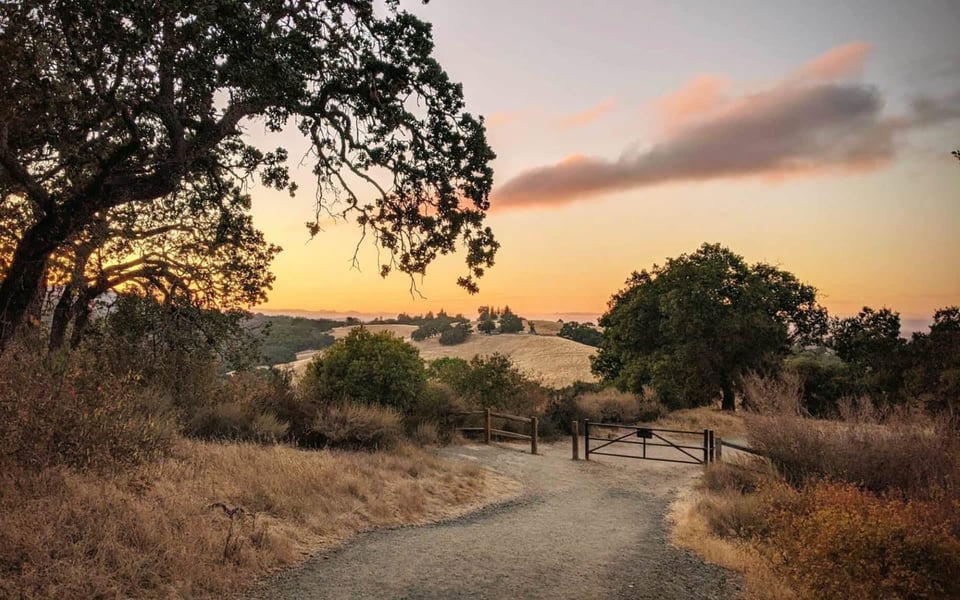 LOS ALTOS HILLS - Illuminate Properties