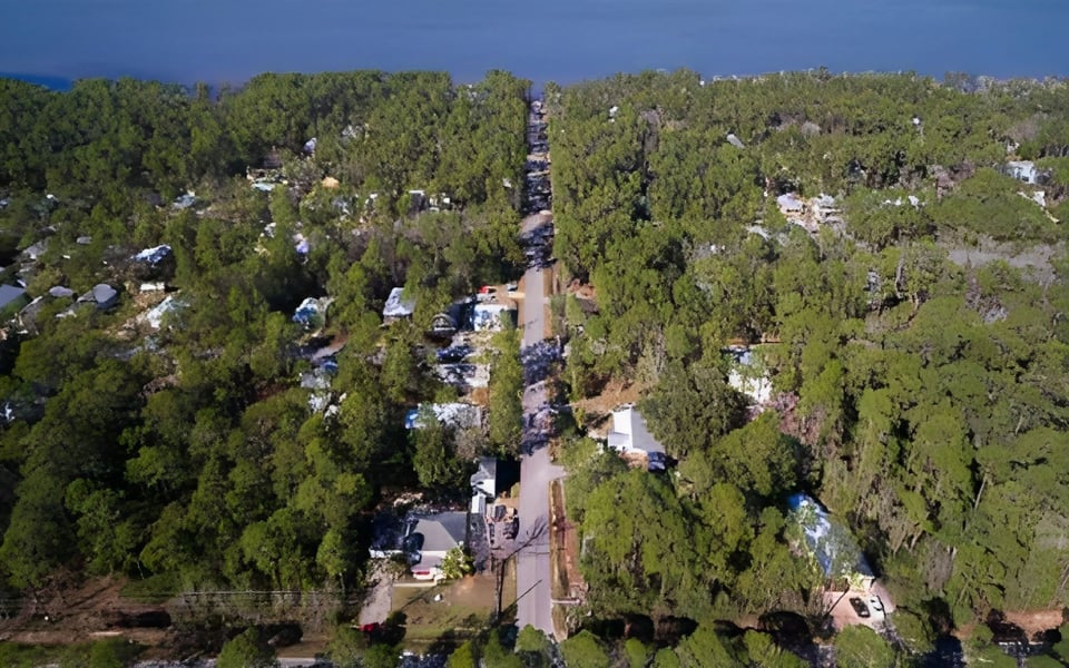 Point Washington Neighborhood Guide | The Beach Group