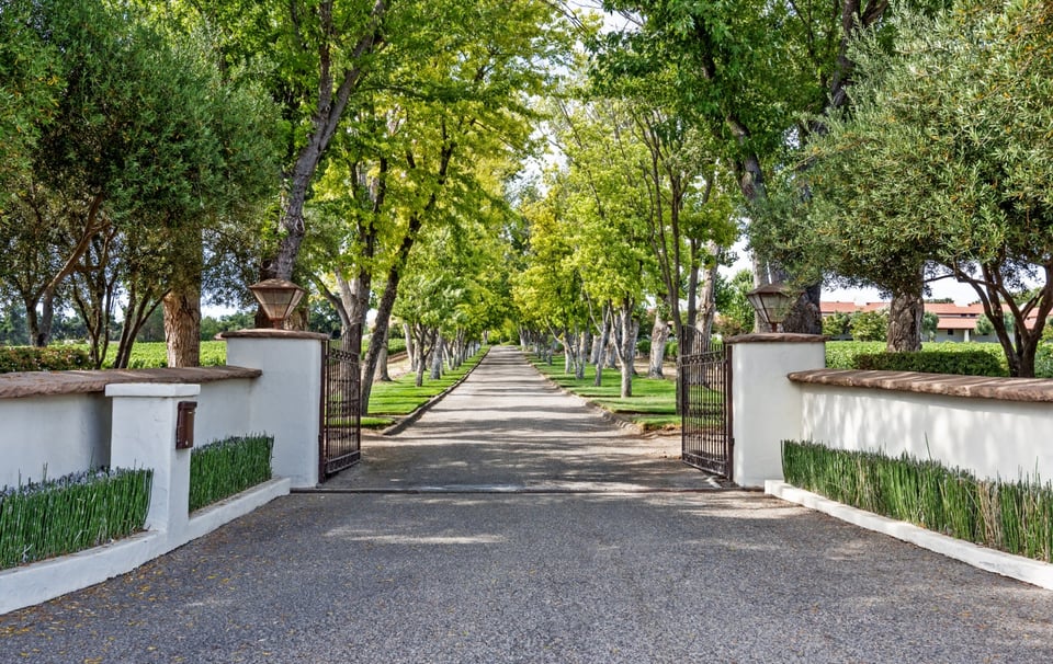 Lafayette Real Estate | Area Guide | Soraya Golesorkhi