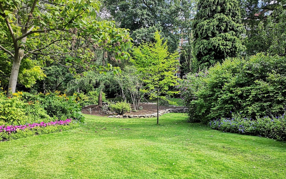 The Role of Landscaping in Staging Your Home | Blog | Ceci Cook