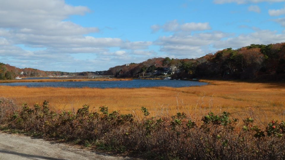 Mashpee | Neighborhood Guide | Greer Real Estate