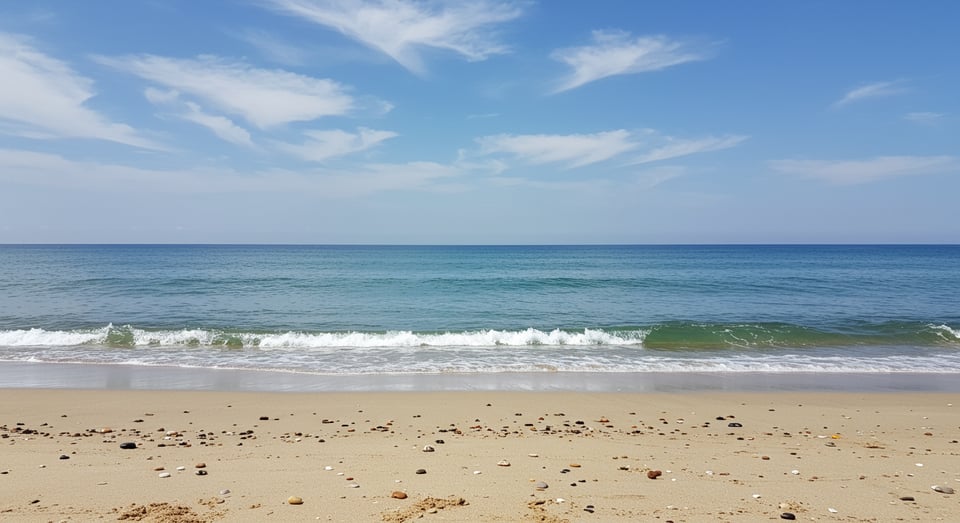 12 Things to Do in Surf City