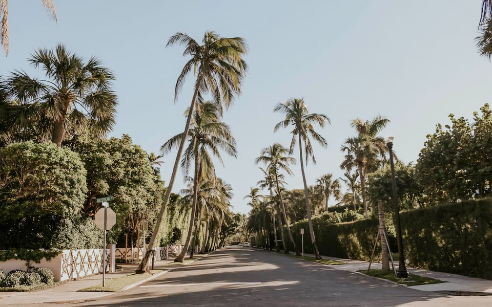 Everything You Need to Know About Moving to Palm Beach | Blog | The ...