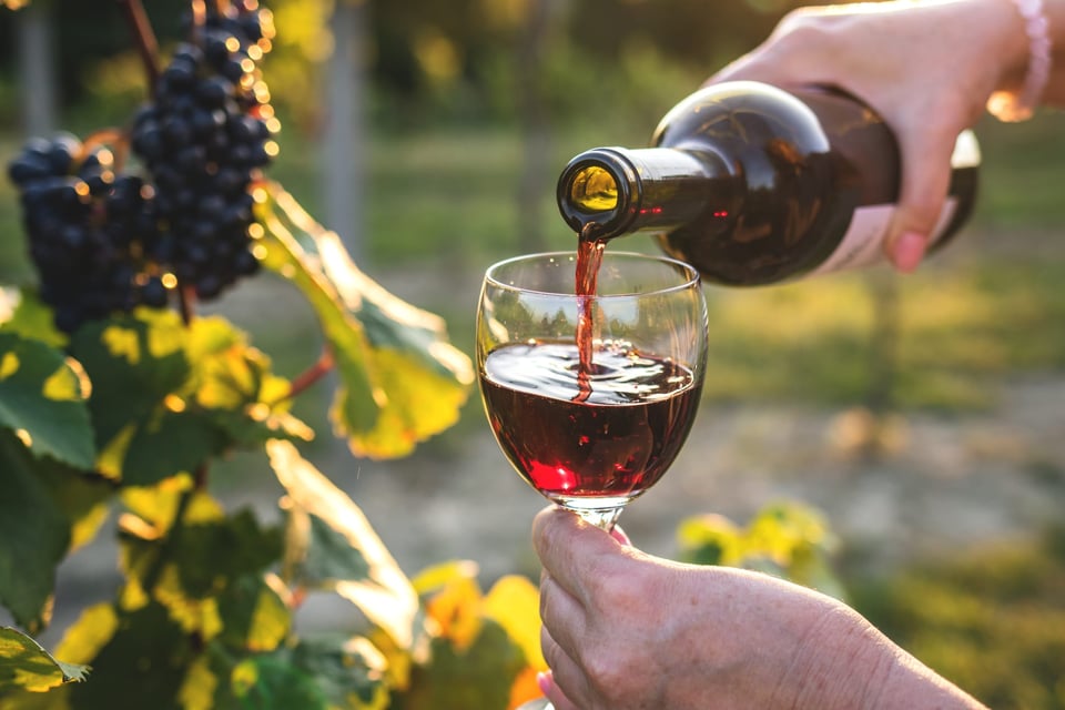 9 Best Wineries in the Santa Cruz Mountains | GRO Real Estate