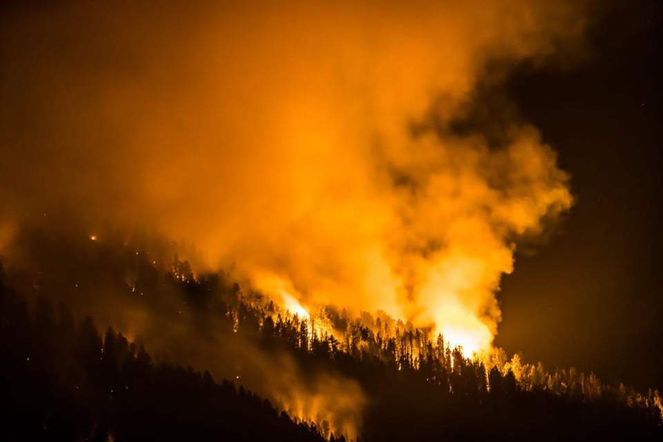 Managing Wildfire Risk in Big Sky | Callie Pecunies