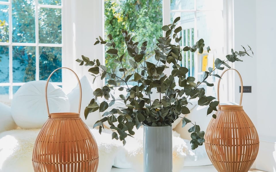 Outbid by Hedge Funds | Blog | Monica Corman & Mandy Montoya
