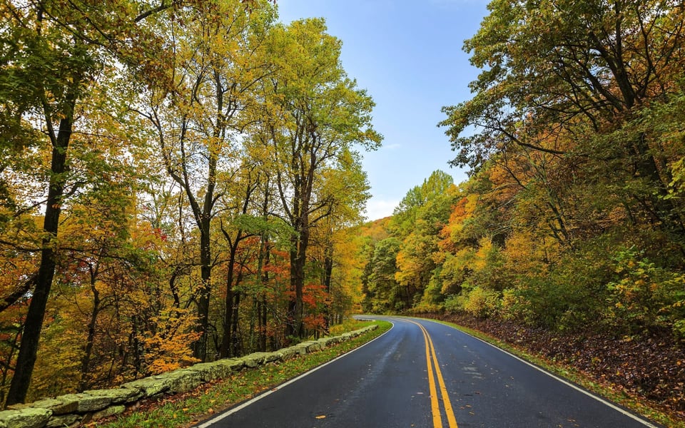 Best Outdoor Adventures & Activities Near Forest Hills, TN | Blog ...