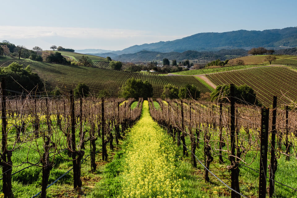 Spring Getaway - Sonoma County | Excellerate Real Estate