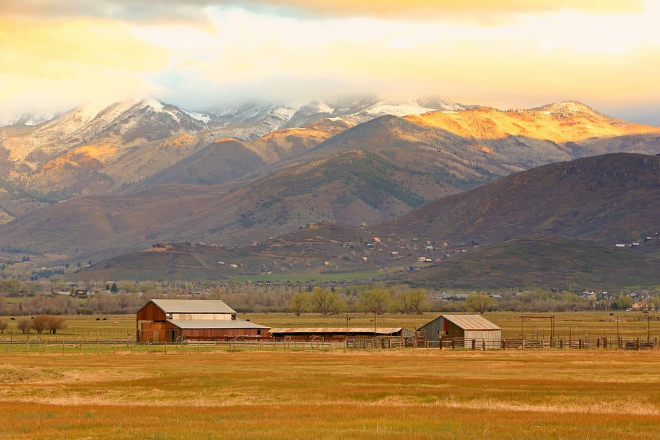 Springville & Mapleton Real Estate | Maven Realty Utah
