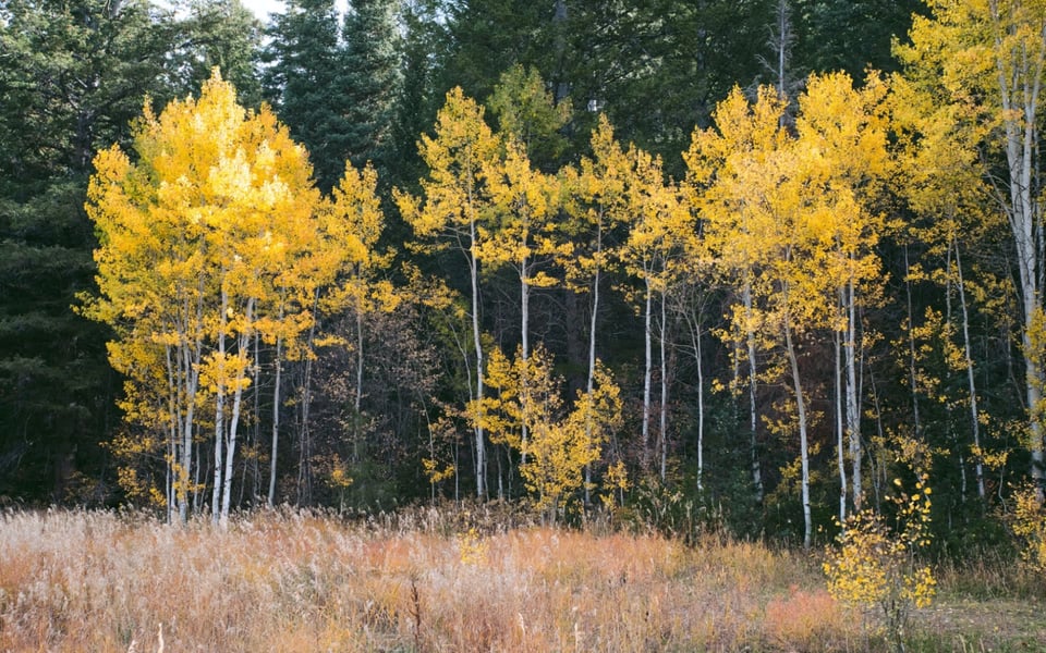 What is a Perc Test, and Do You Need One? | Range Realty Co.