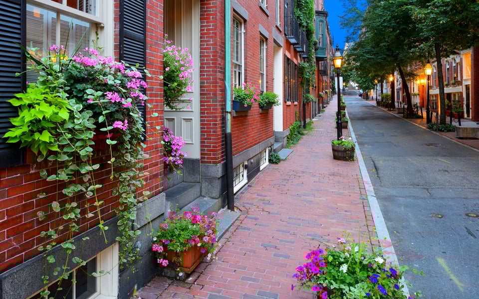 Beacon Hill | Community Guide | Caroline Conlon