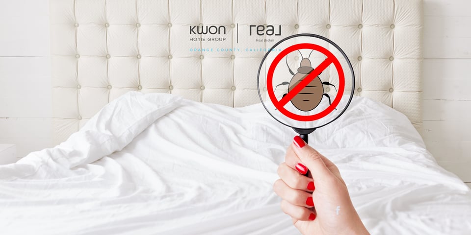 Bed Bug Be-Gone: Your 5-Step Escape Route to a Bug-Free Home