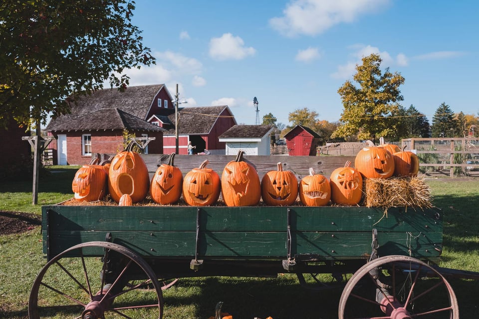 7 October Events & Festivals throughout Denver in 2022