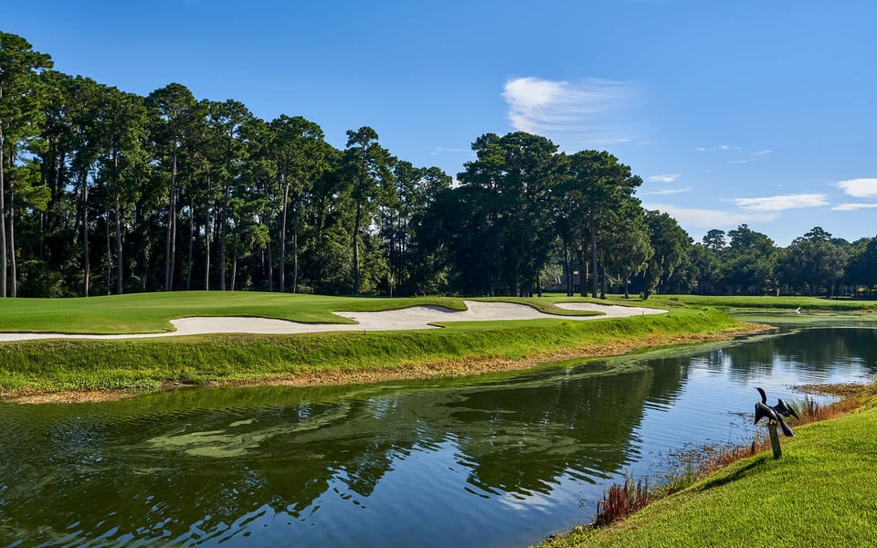 Indigo Run | Community Guide | The Agency Hilton Head