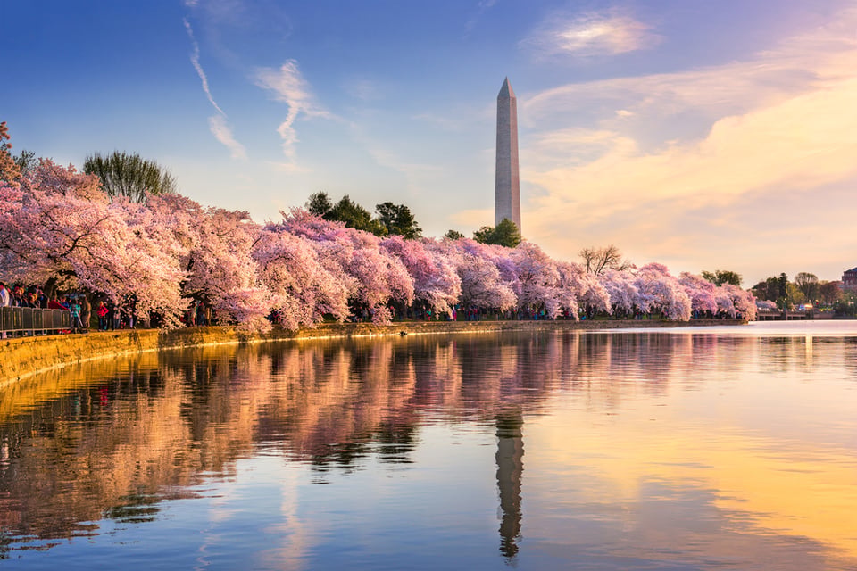 Top Activities to Look Forward to This Spring | David Hatef