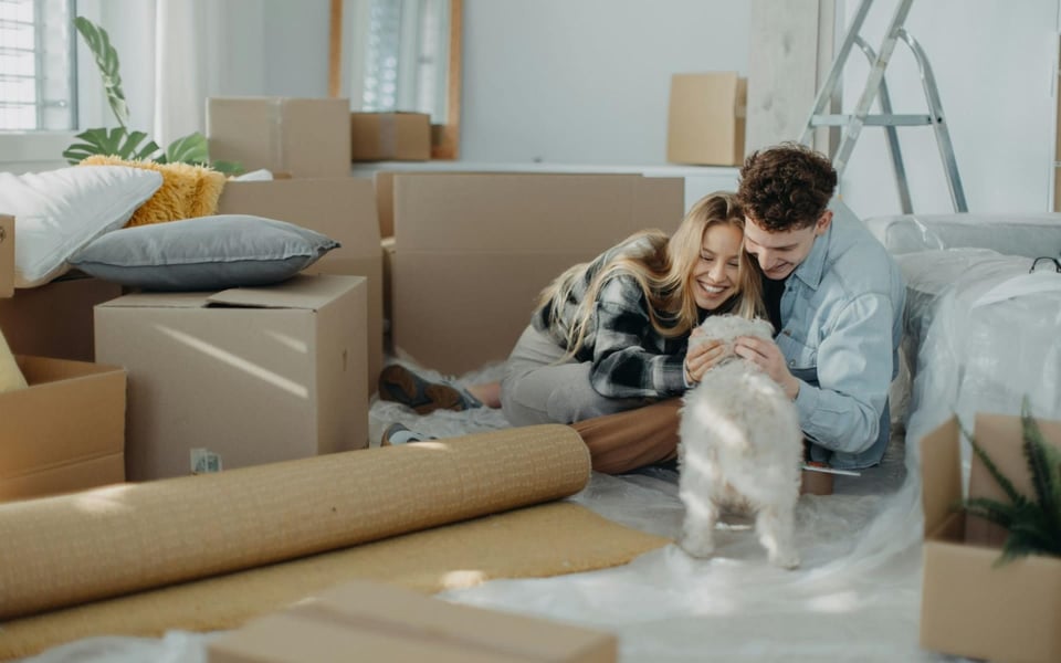 Tips for Moving with Pets | Blog | JW Group