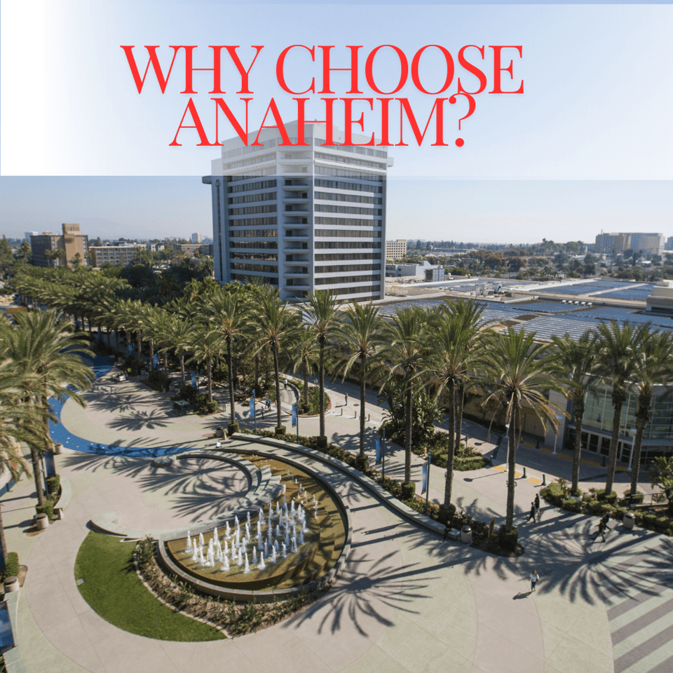 Anaheim's Best Kept Secrets: Unique Experiences You Won't Find Anywhere ...