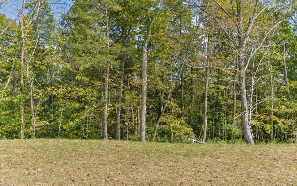 2902 Travis French Trl