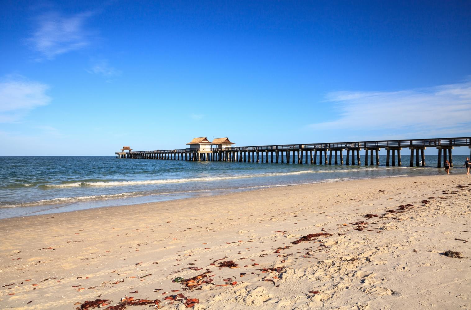 J. Sterling Bowers |South Florida Real Estate Expert