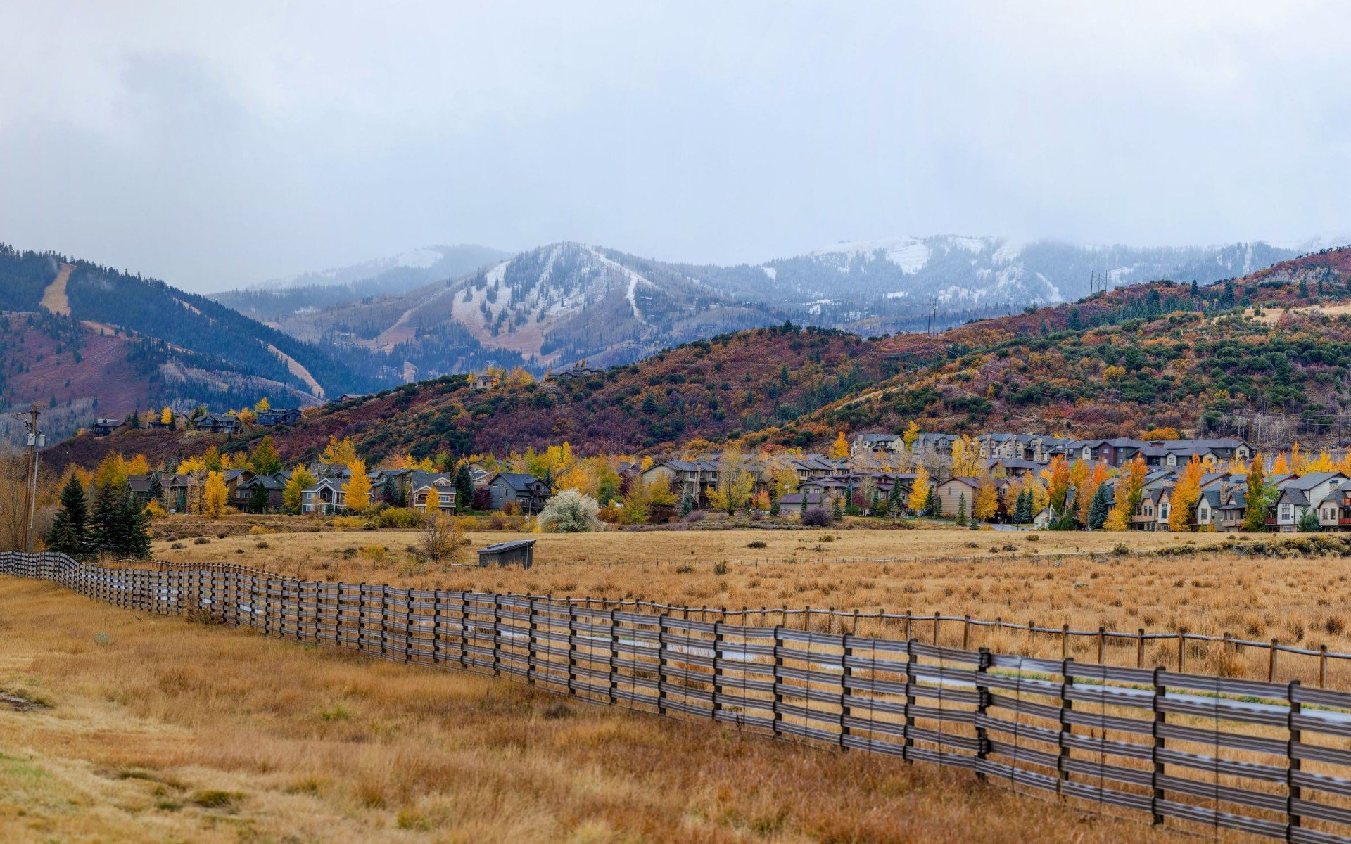 Comprehensive Utah Neighborhood Guides | Wayne Levinson