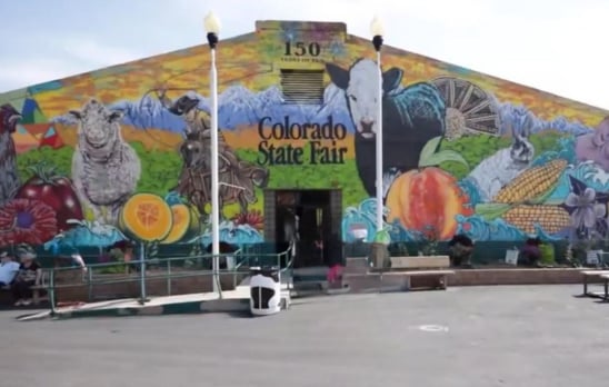 Pueblo Colorado State Fair - Best summer activities in Colorado | Pink ...