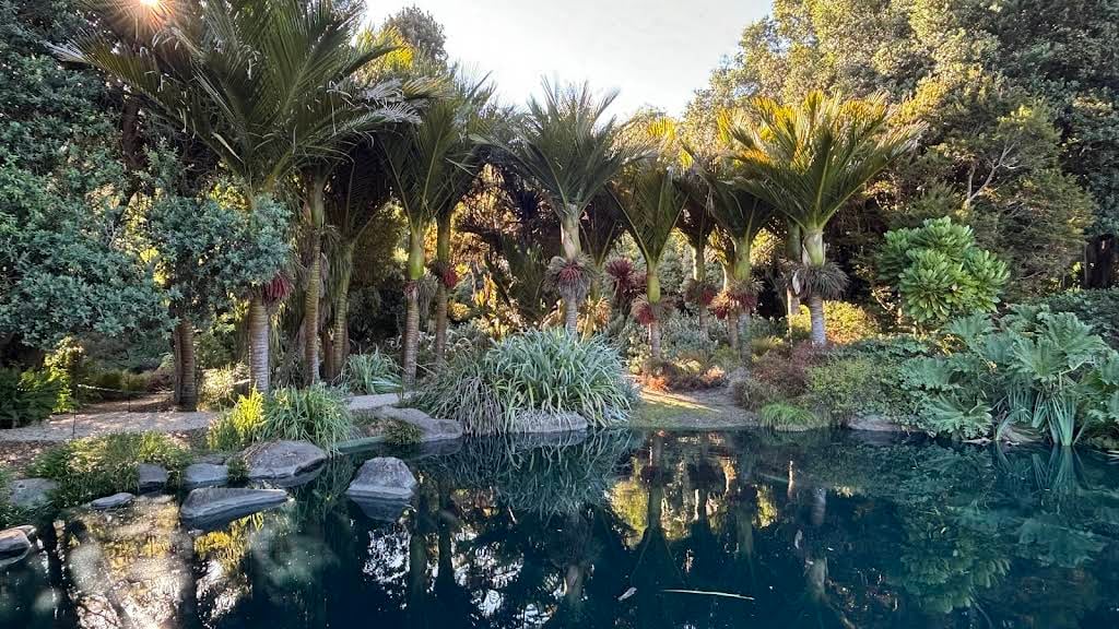Forest Bathing in San Francisco: A Mindful Escape at the Botanical Garden