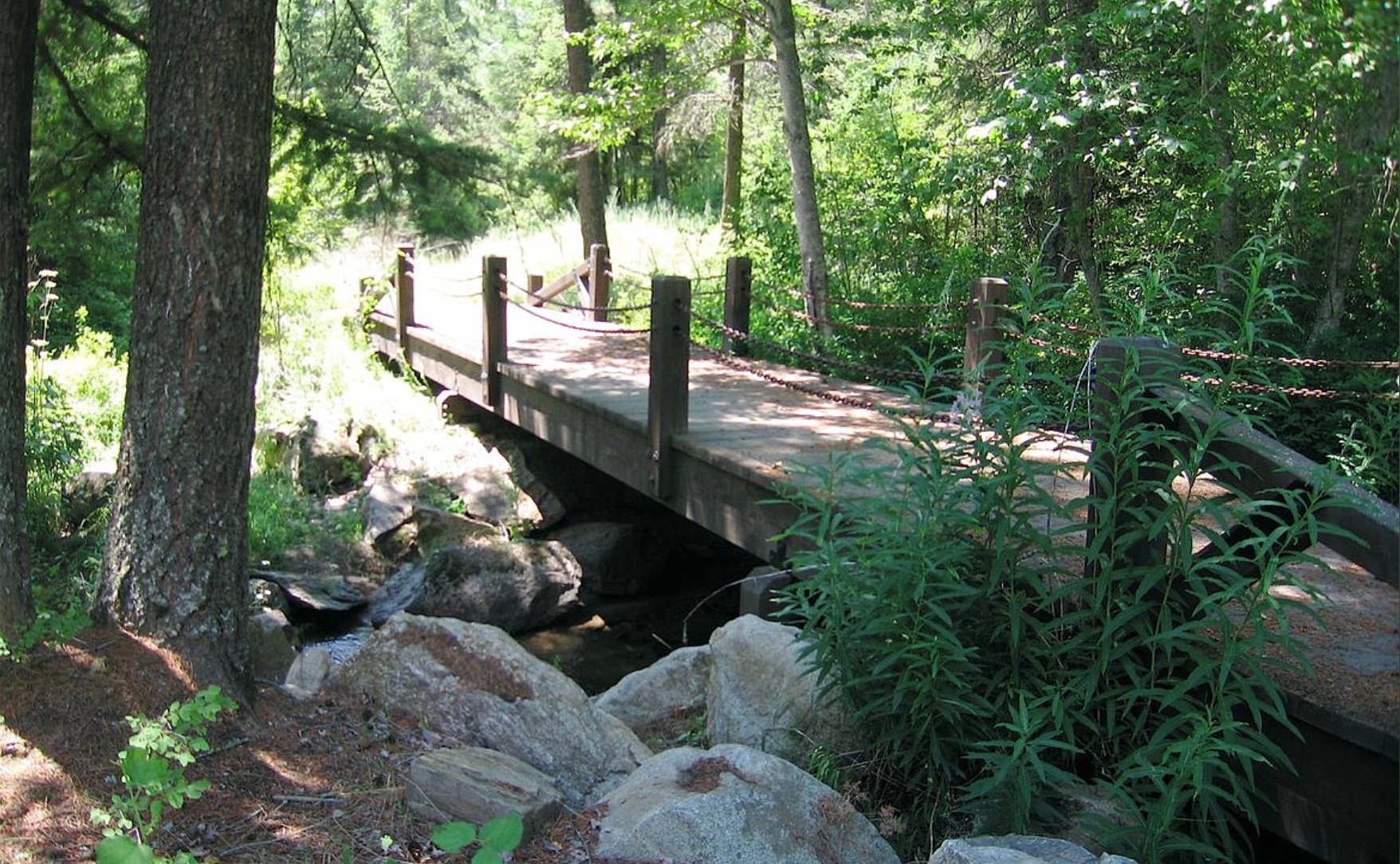 Lost Creek Estates | Cindy Perry Real Estate Agent