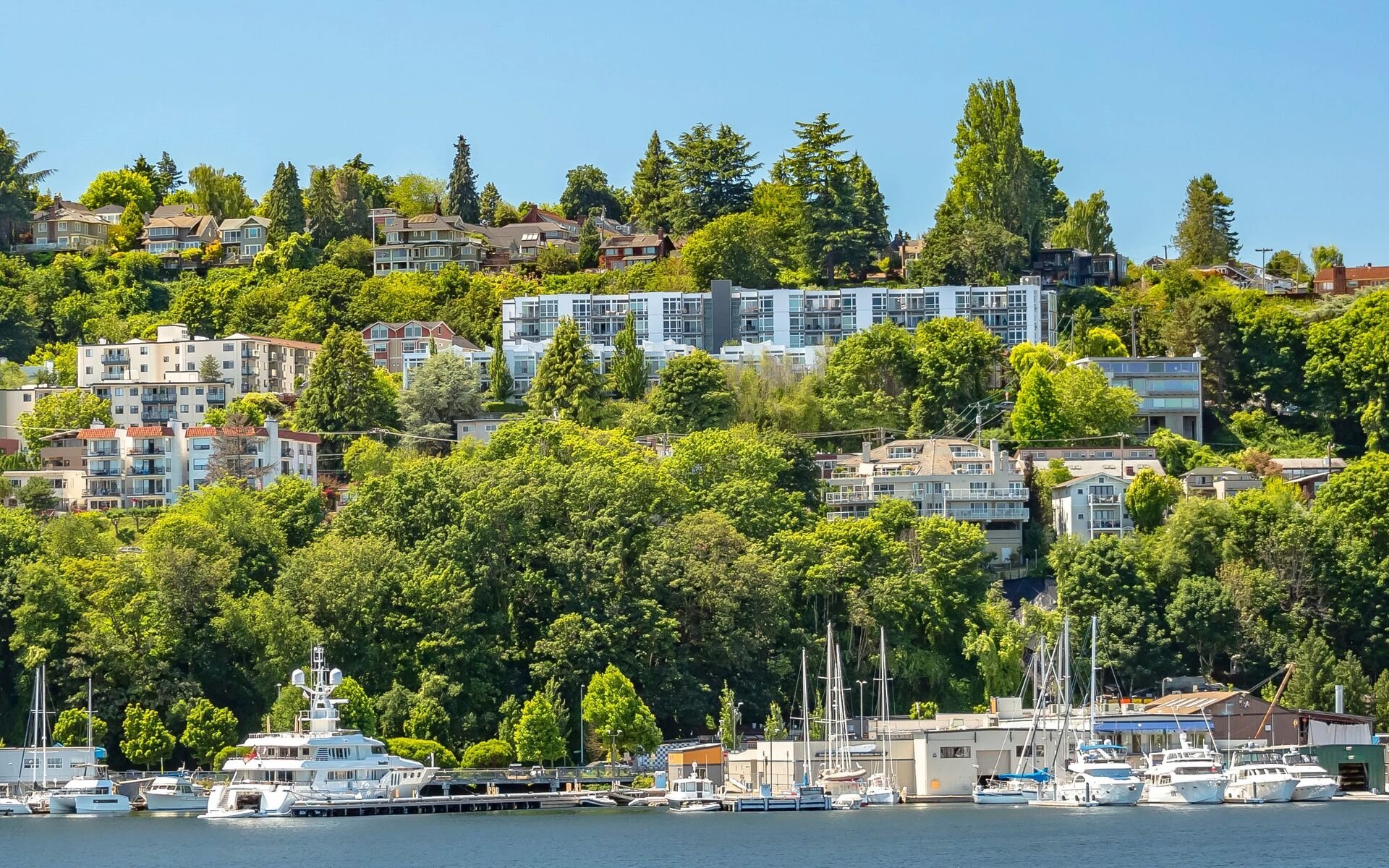 Explore Washington Neighborhood Guides | Lara Nelson