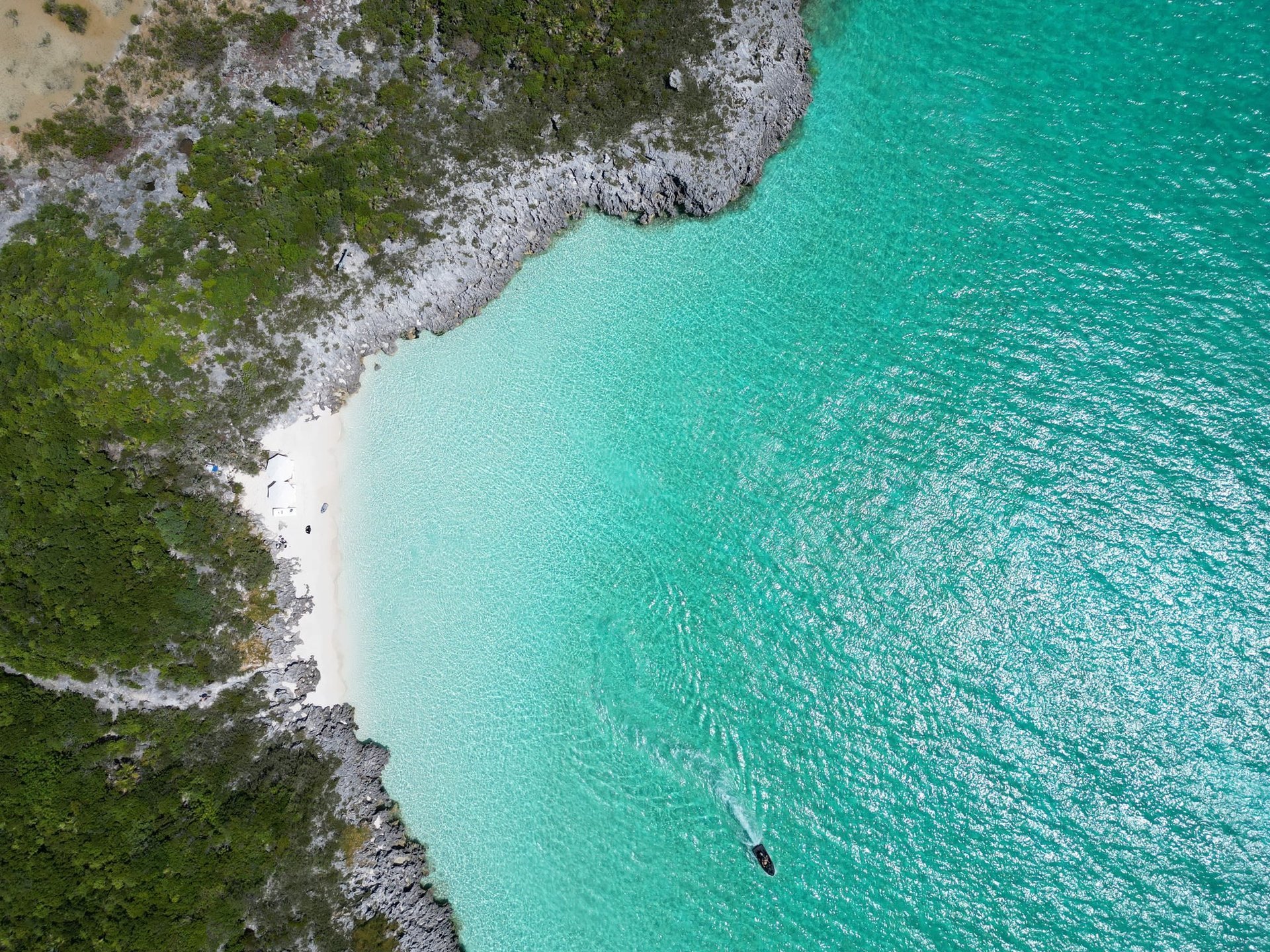 Meet the Team | The Balmoral Development Real Estate