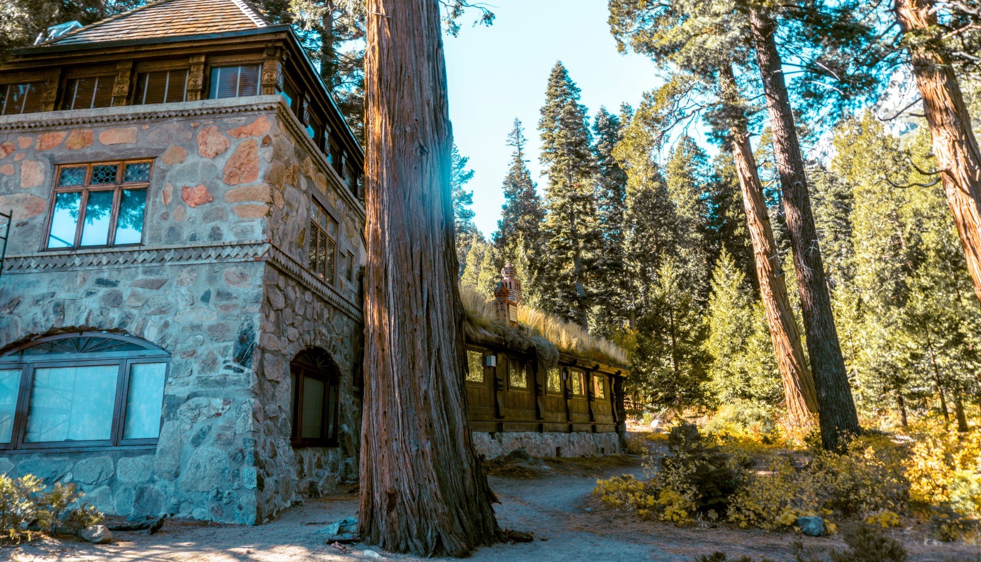 Comprehensive California Neighborhood Guides | DS Realty
